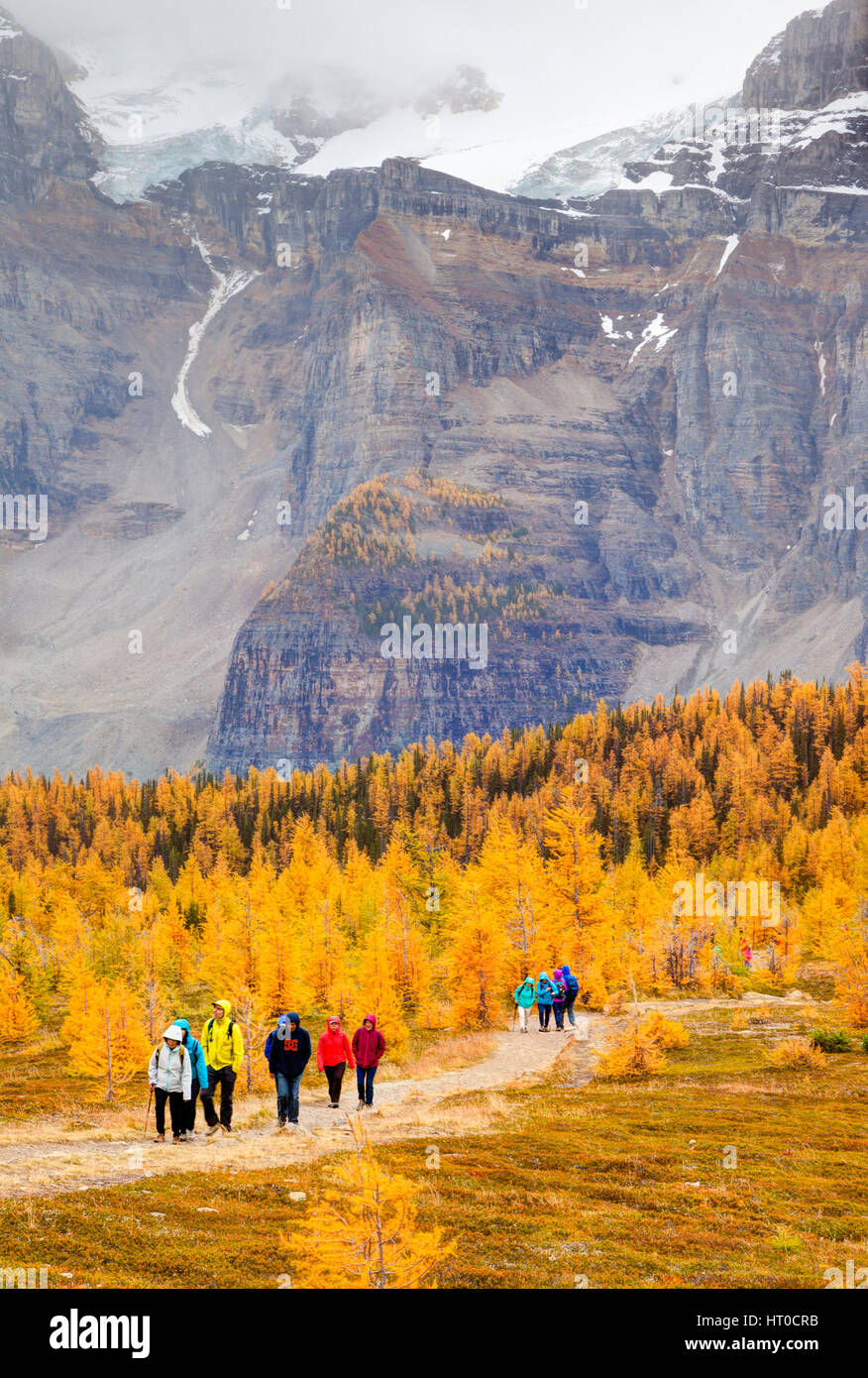 Lake Louise, Canada - September 17, 2016: Hikers walk past the golden ...
