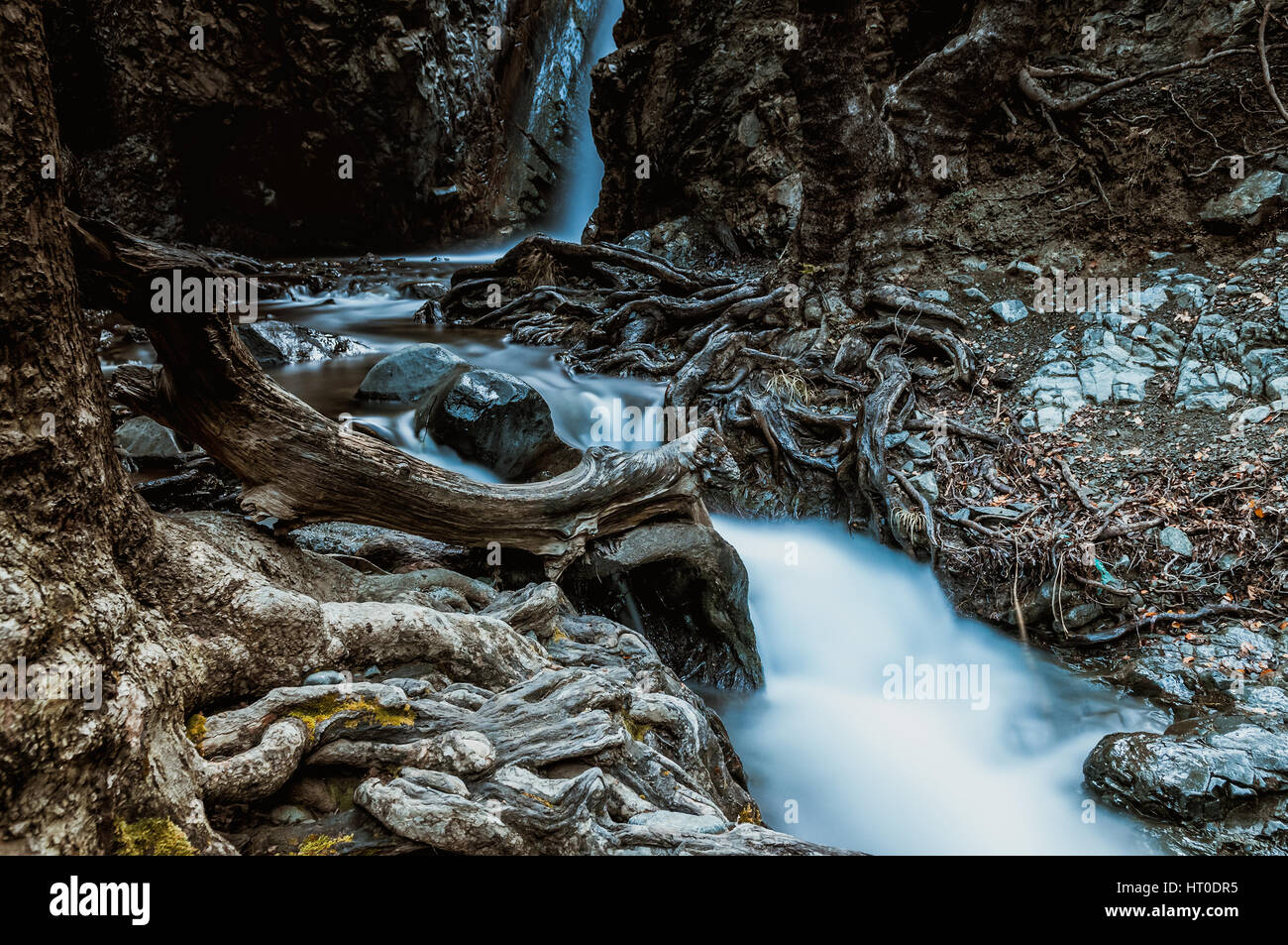 Troodos national forest park hi-res stock photography and images - Alamy
