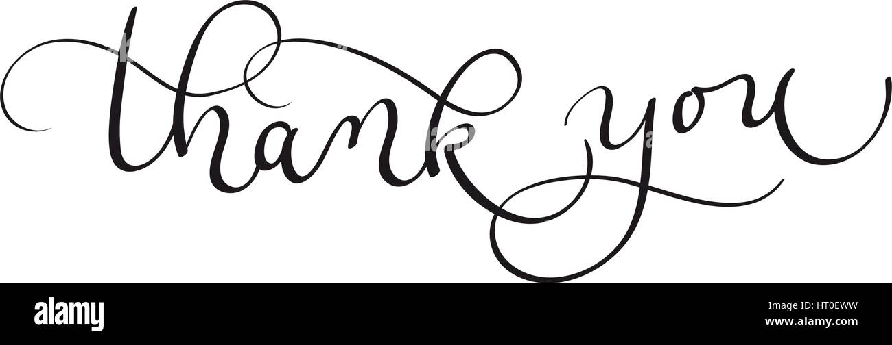 Thank you text on white background. Calligraphy lettering Vector ...