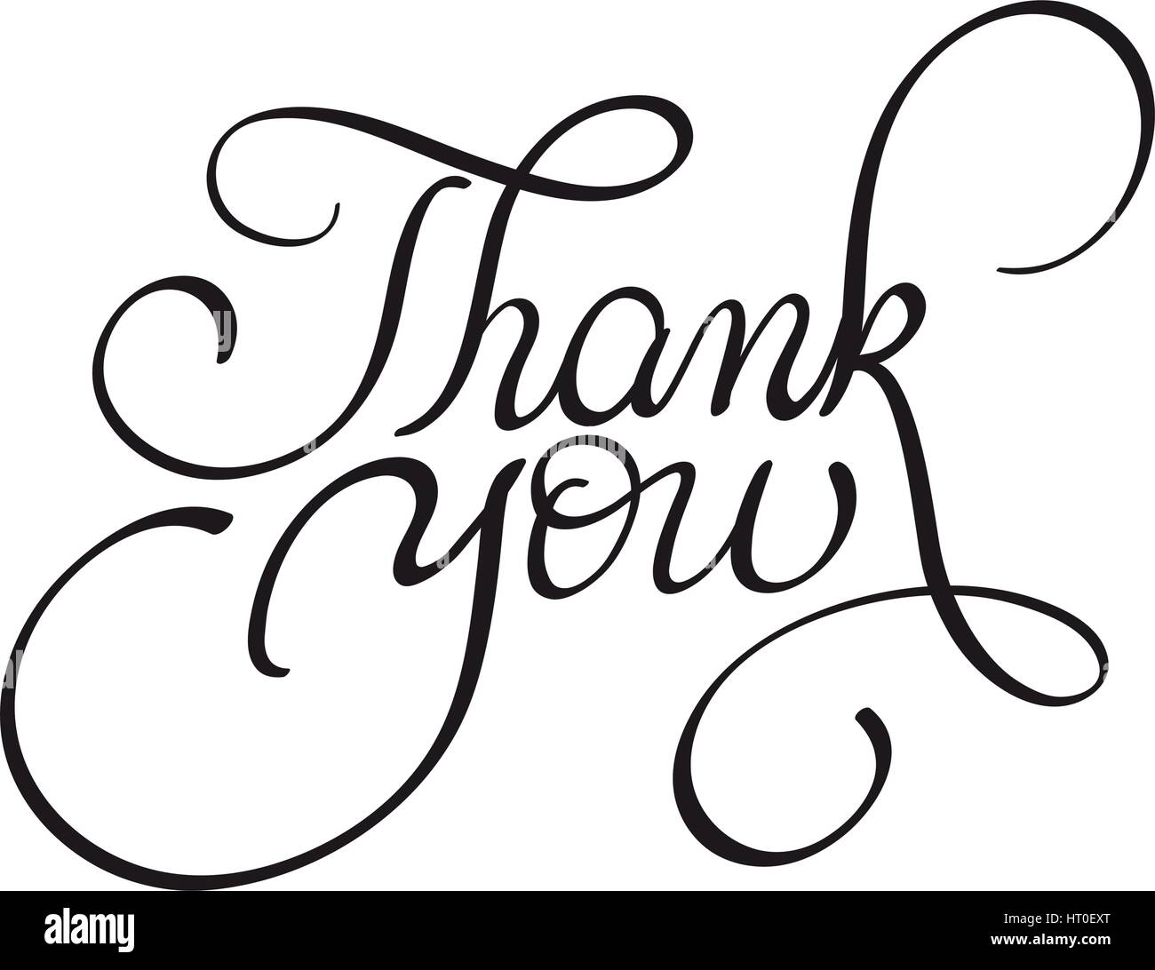 Thank you text on white background. Calligraphy lettering Vector ...