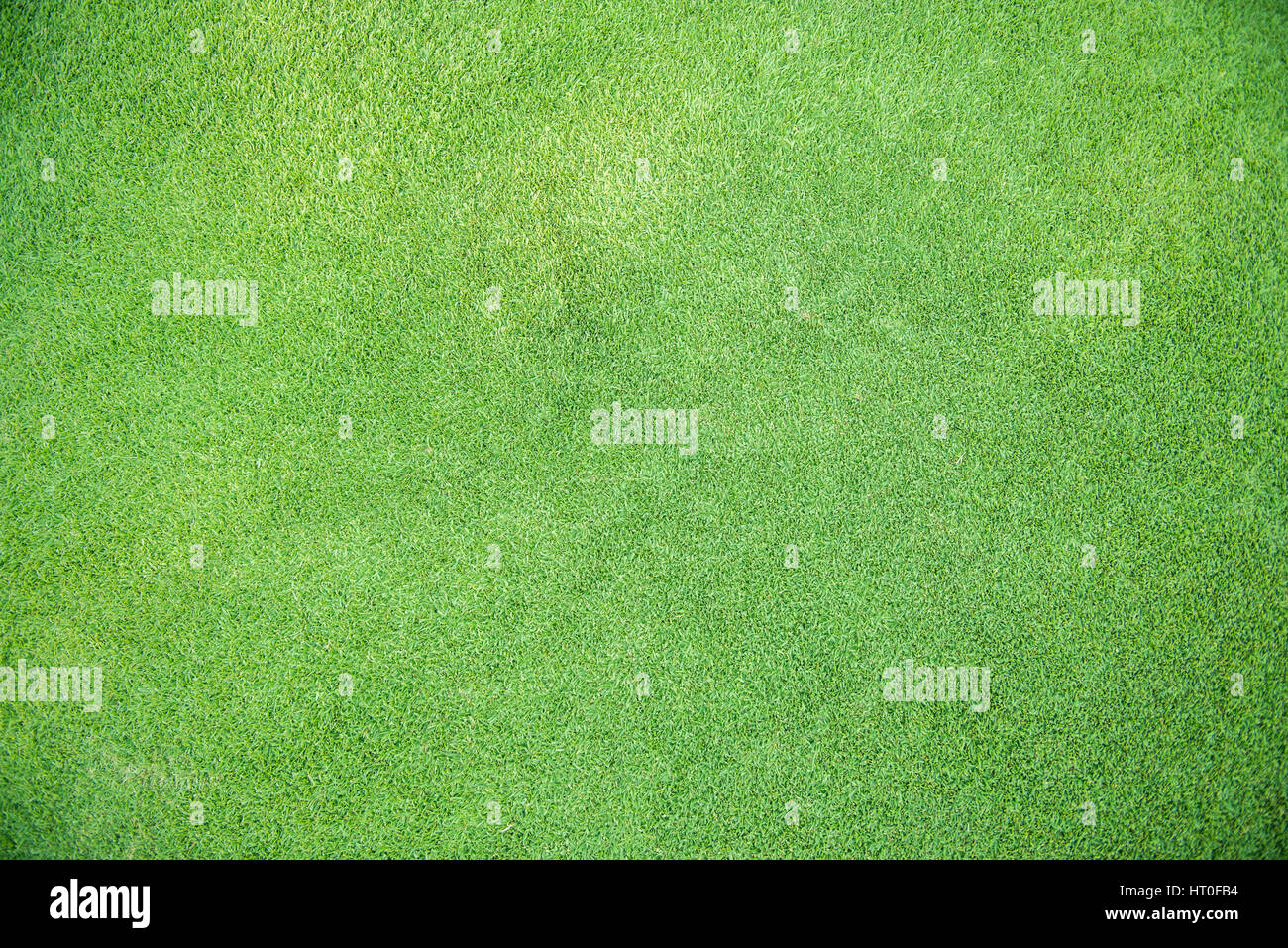 green grass texture Stock Photo - Alamy