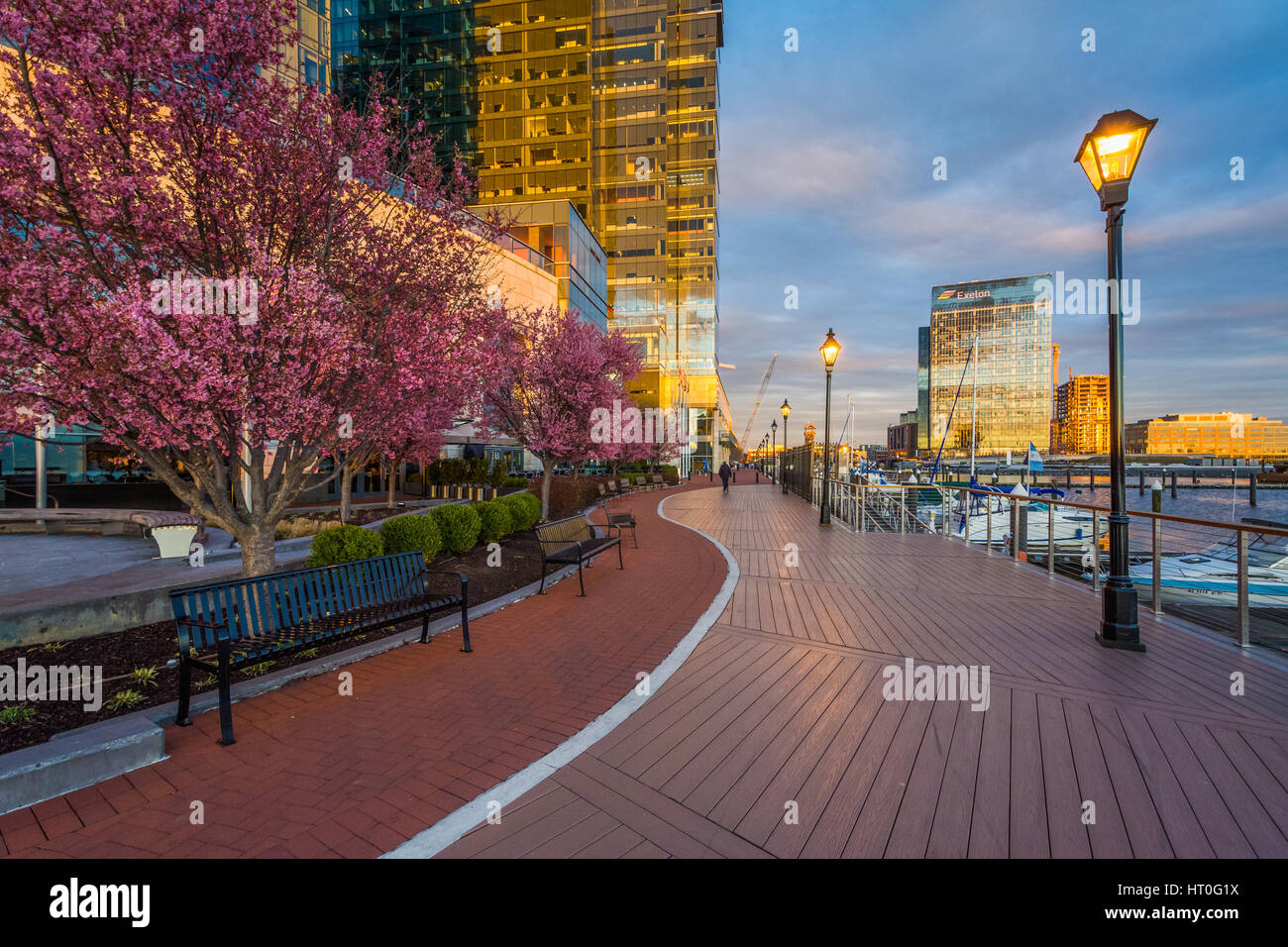 Modern buildings and the Waterfront Promenade in Harbor East, Baltimore ...