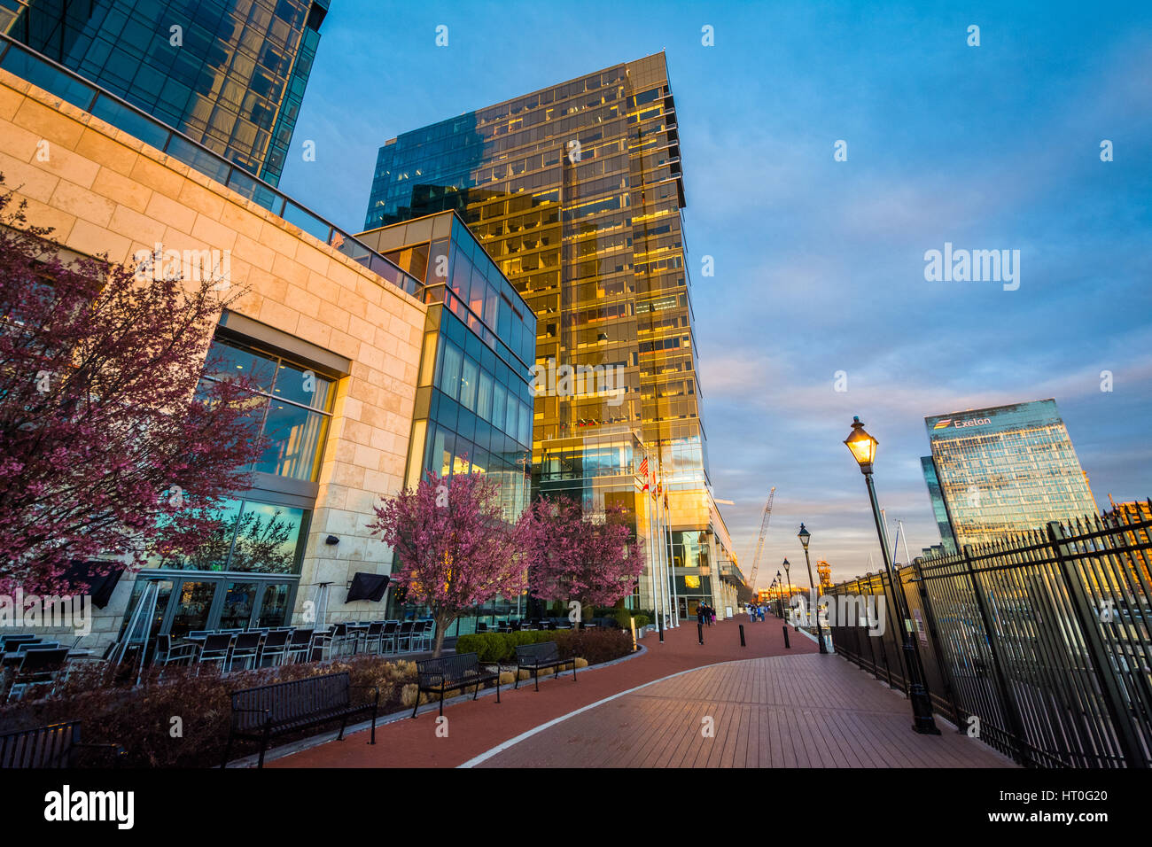 Modern buildings and the Waterfront Promenade in Harbor East, Baltimore ...