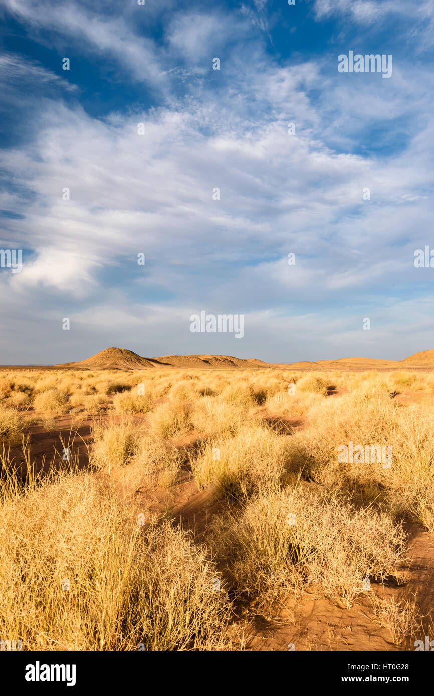 Algerian desert hi-res stock photography and images - Alamy