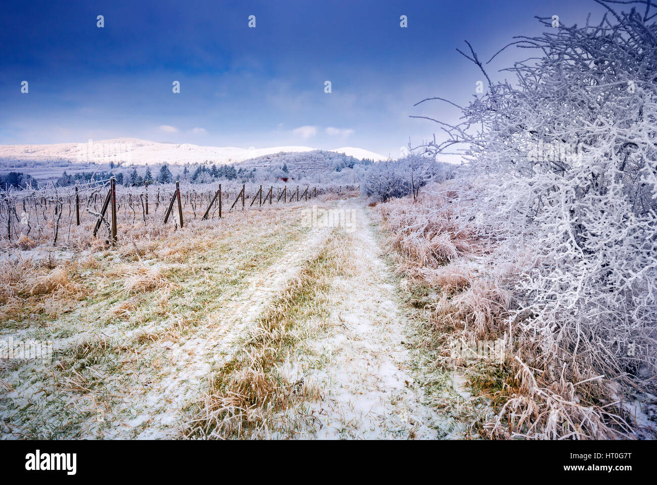 Beautiful cold nature hi-res stock photography and images - Alamy