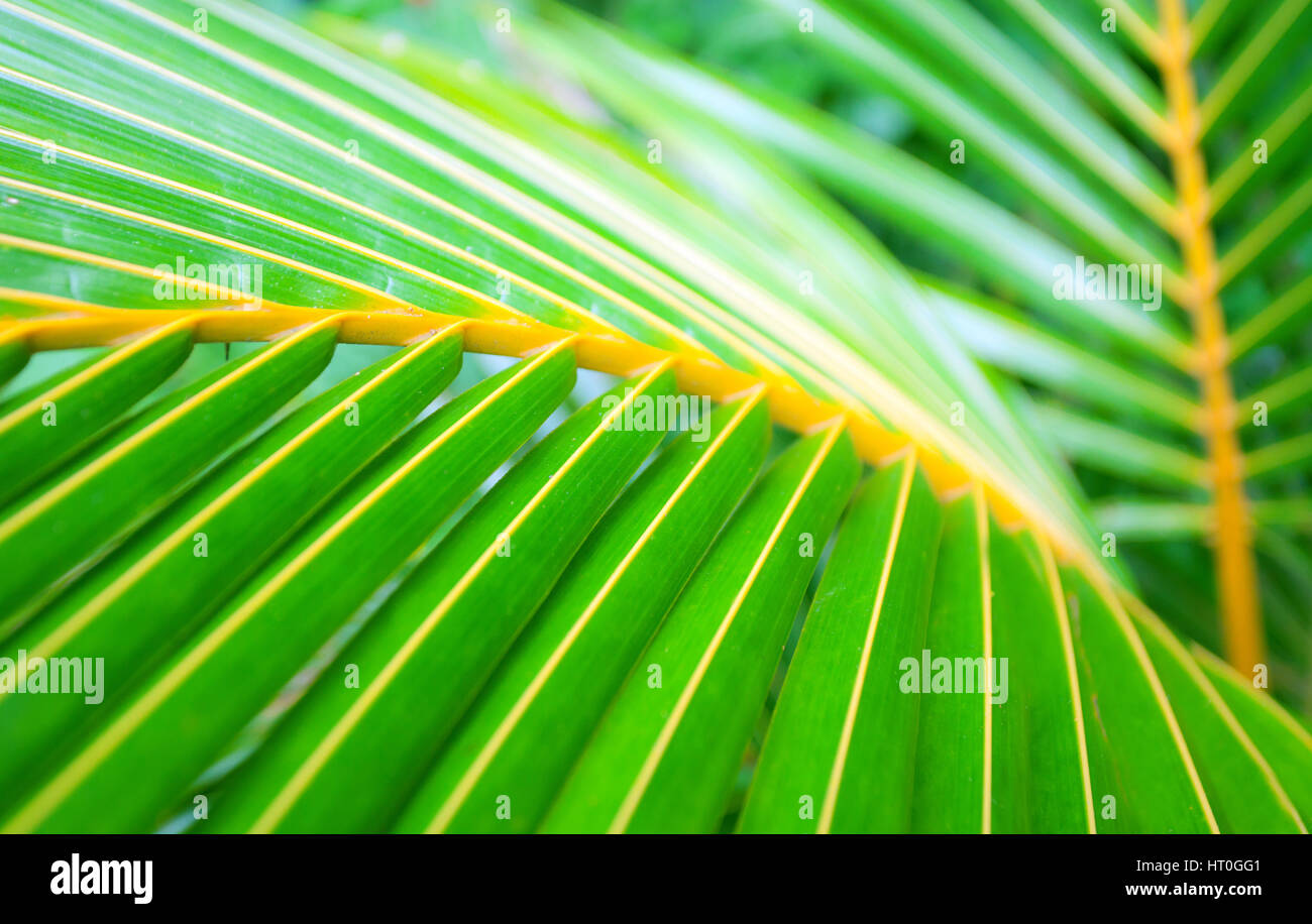 Oblique Lines In Nature Heterogeneous Melting Near The Thwaites