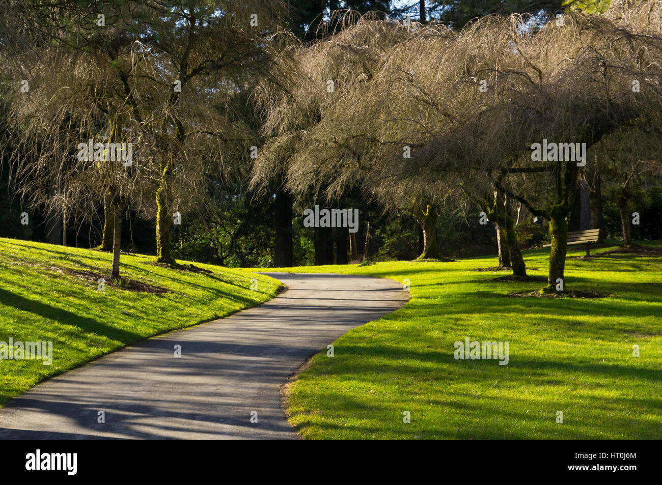 Beautiful path in a park Stock Photo - Alamy
