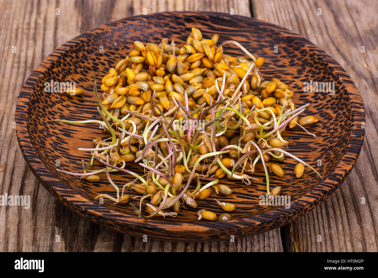 Wholesome food-grains germinated Stock Photo - Alamy