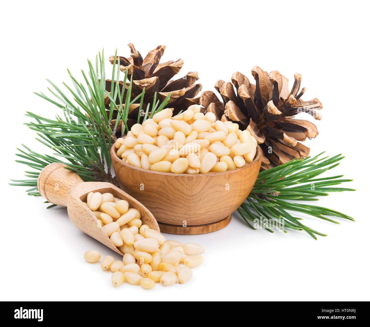 Pine nuts with branches and cones isolated on white Stock Photo - Alamy