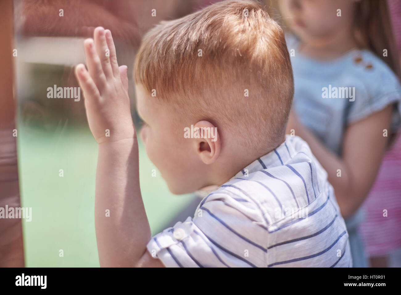 Cute little boy watching marine animals at the zoo Stock Photo - Alamy