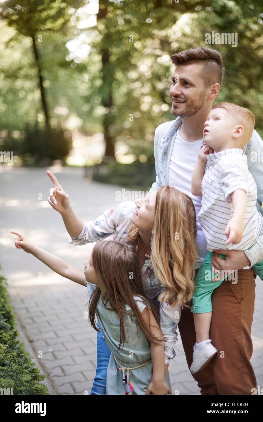 Boy pointing bird hi-res stock photography and images - Alamy
