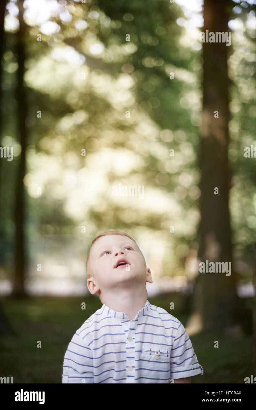 Little cute boy looking up Stock Photo - Alamy