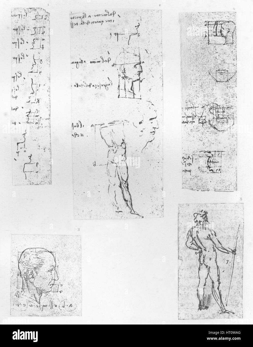 Five drawings illustrating the theory of the proportions of the human ...