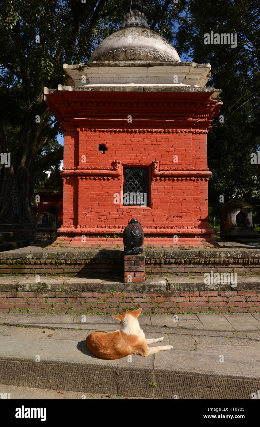 PASHUPATINATH - OCTOBER 10: Ancient Hindu temple, now collapsed after ...