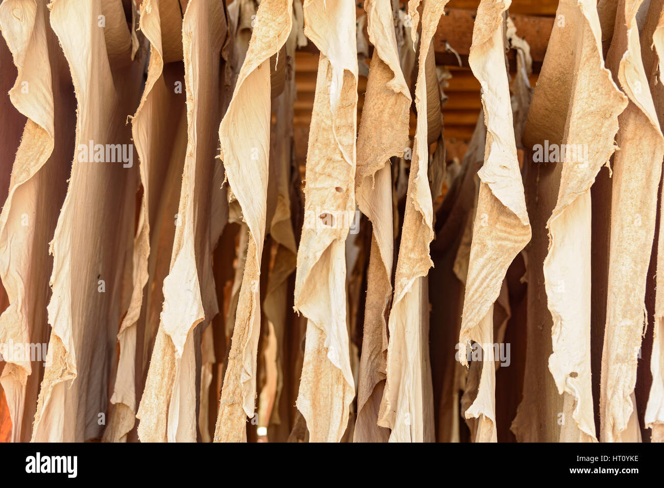 Market tanning tourism ancient hi-res stock photography and images - Alamy