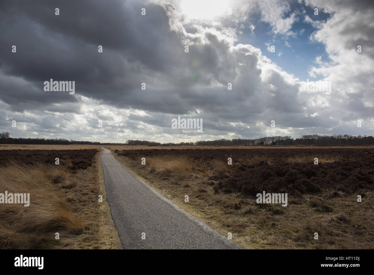 Dark clouds above a bike path in National Park Hoge Veluwe in the ...