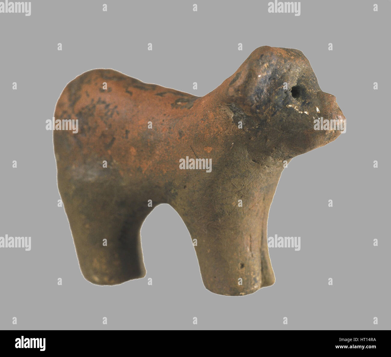 Prehistoric Bear Dog