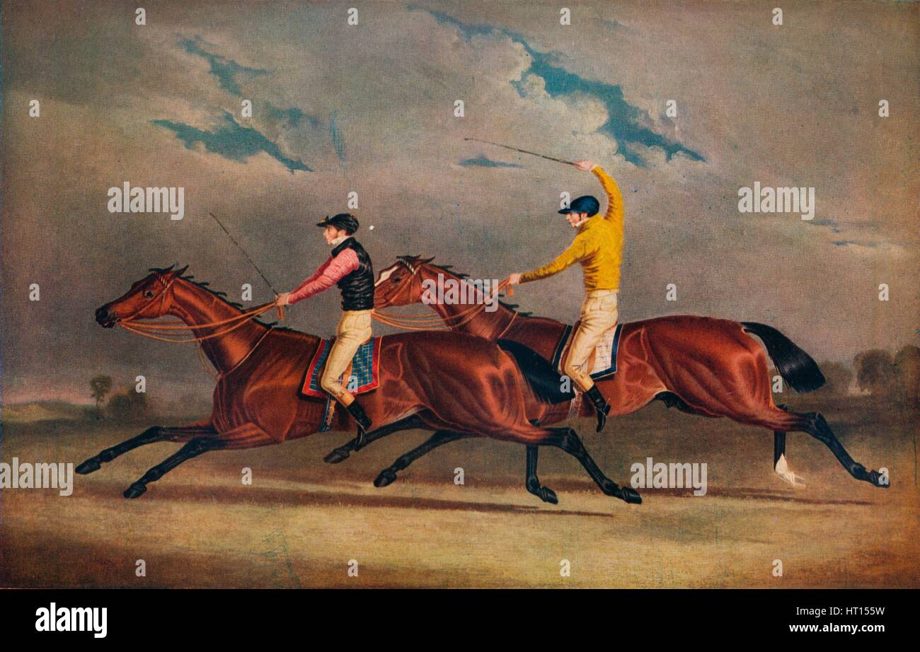 Herring benjamin hi-res stock photography and images - Alamy