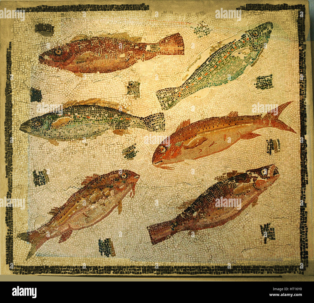 Roman Mosaic Fish Stock Photos & Roman Mosaic Fish Stock Images - Alamy