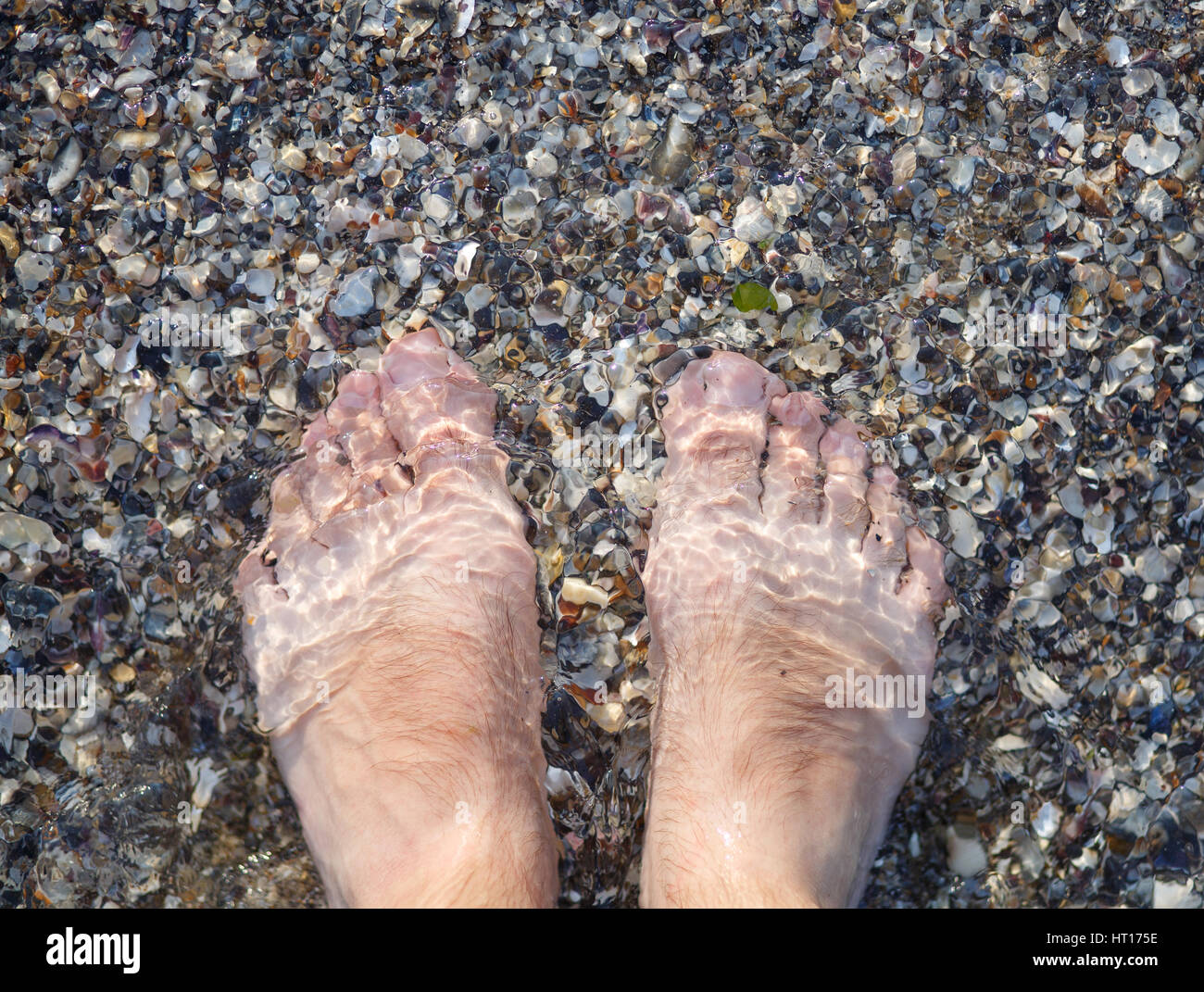 Human legs in transparent water on marine pebbles. background Stock ...
