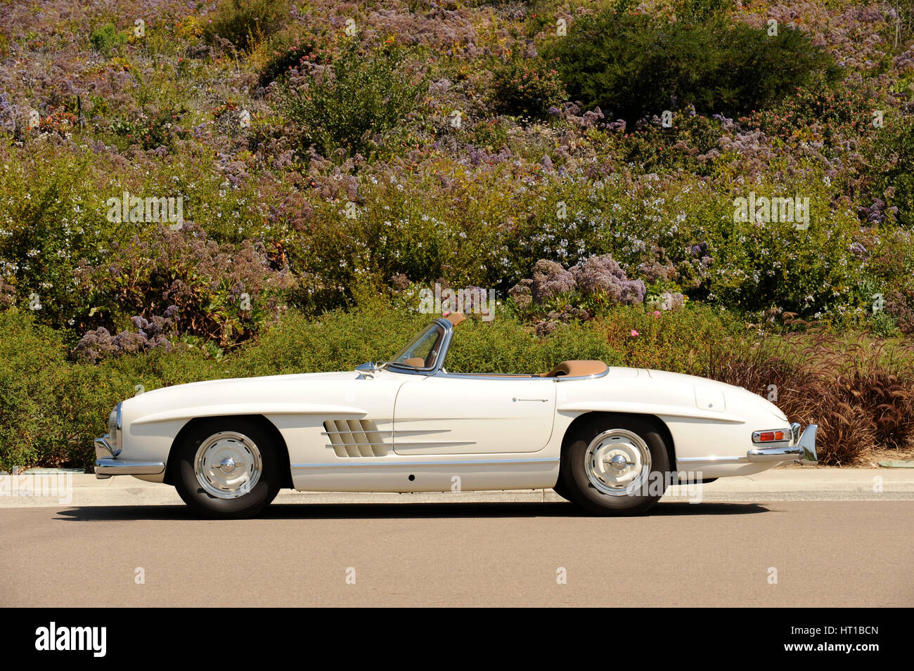 Mercedes Benz 300 SL roadster 1958. Artist: Simon Clay Stock Photo - Alamy