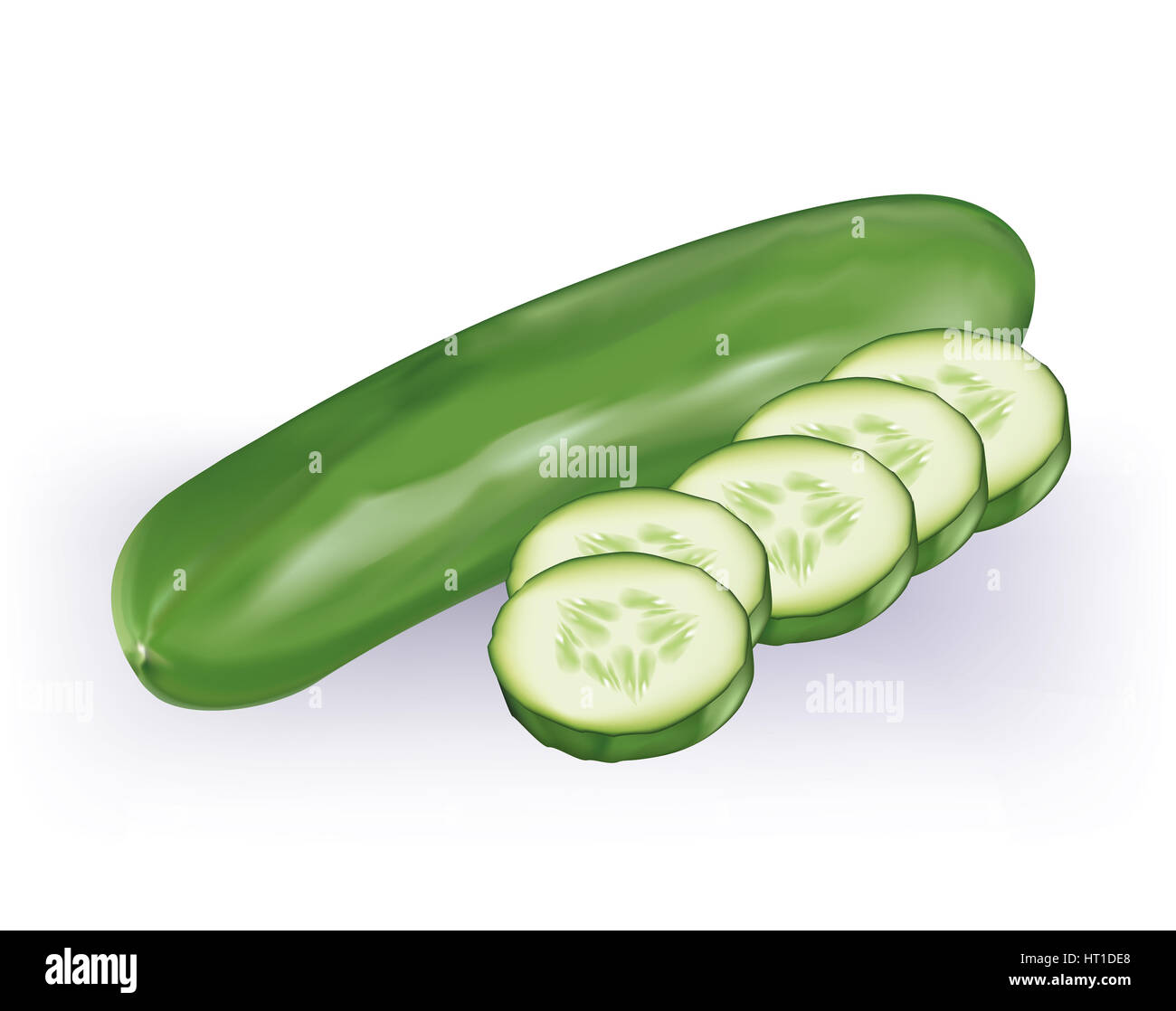 Vector cucumber hi-res stock photography and images - Alamy
