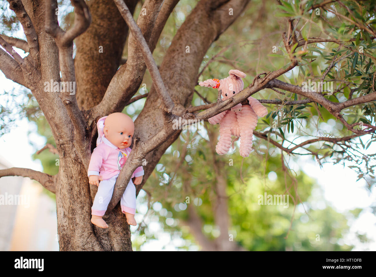 lost toys on tree Stock Photo - Alamy