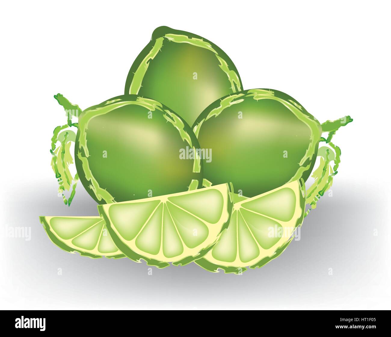 Limes Stock Vector Images - Alamy