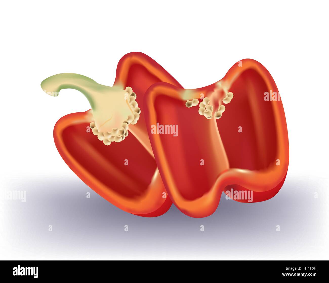 Bright red seeds Stock Vector Images - Alamy