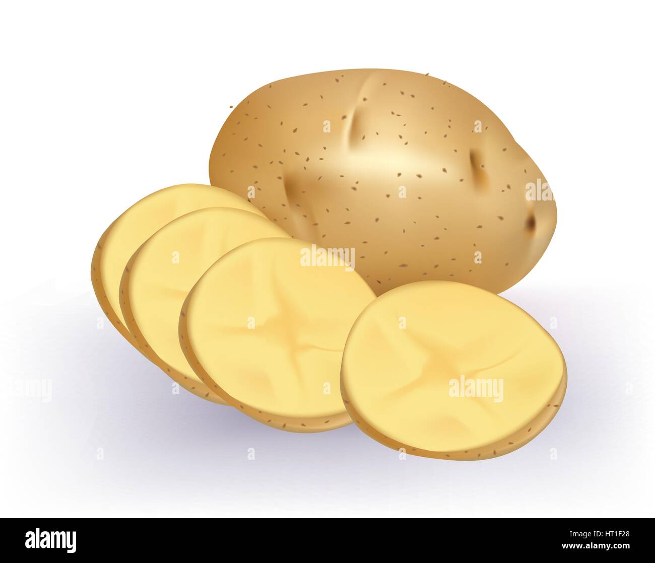 Potato starch Stock Vector Images - Alamy