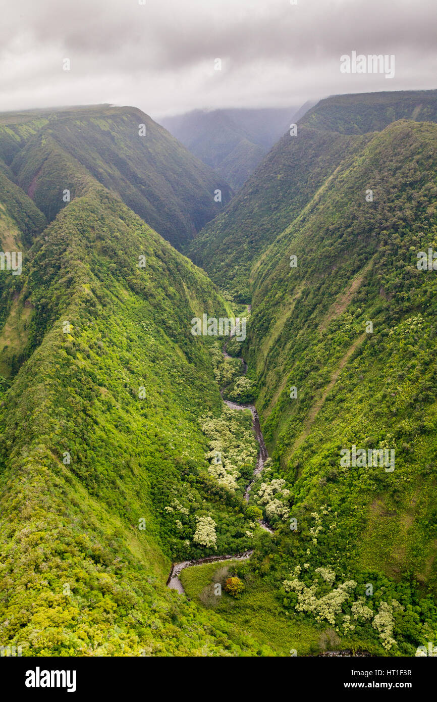 Aerial view of the Honopue Valley on the east coast of Big Island ...