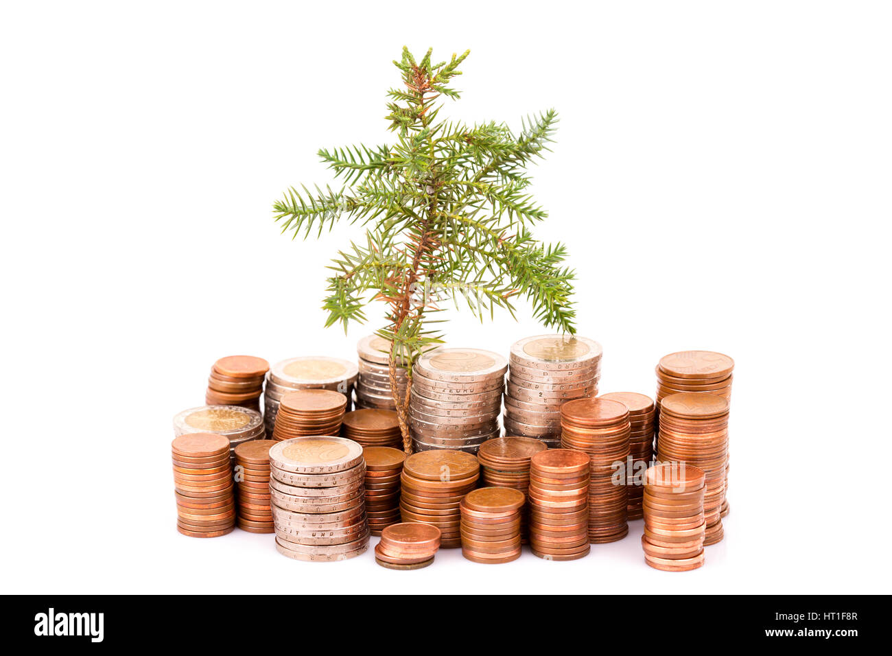 Coins and tree isolated on white background Stock Photo - Alamy