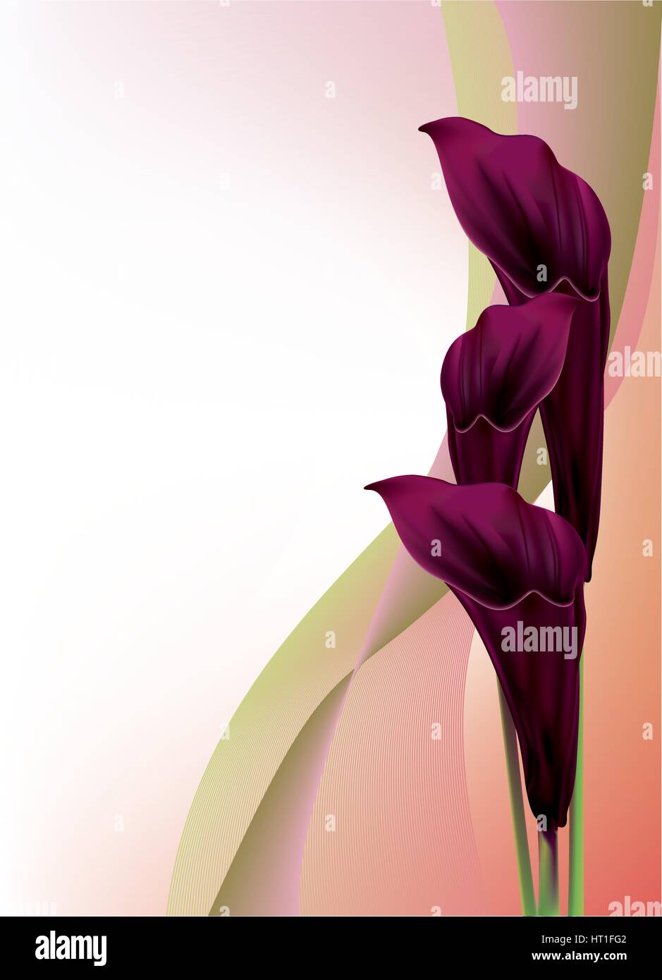 Beautiful pink lilies Stock Vector Images - Alamy