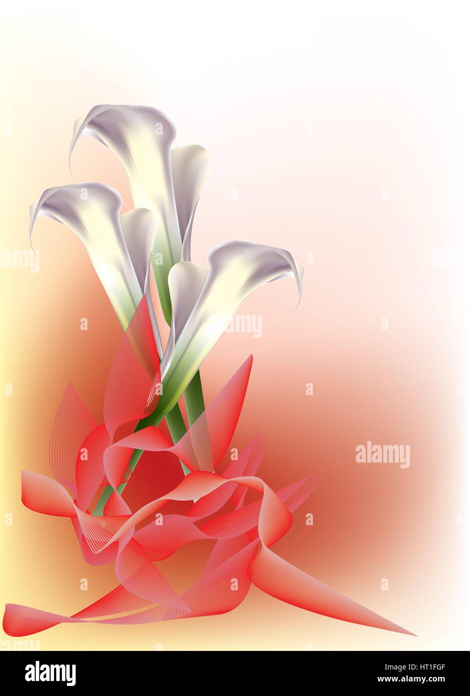 Beautiful pink lilies Stock Vector Images - Alamy