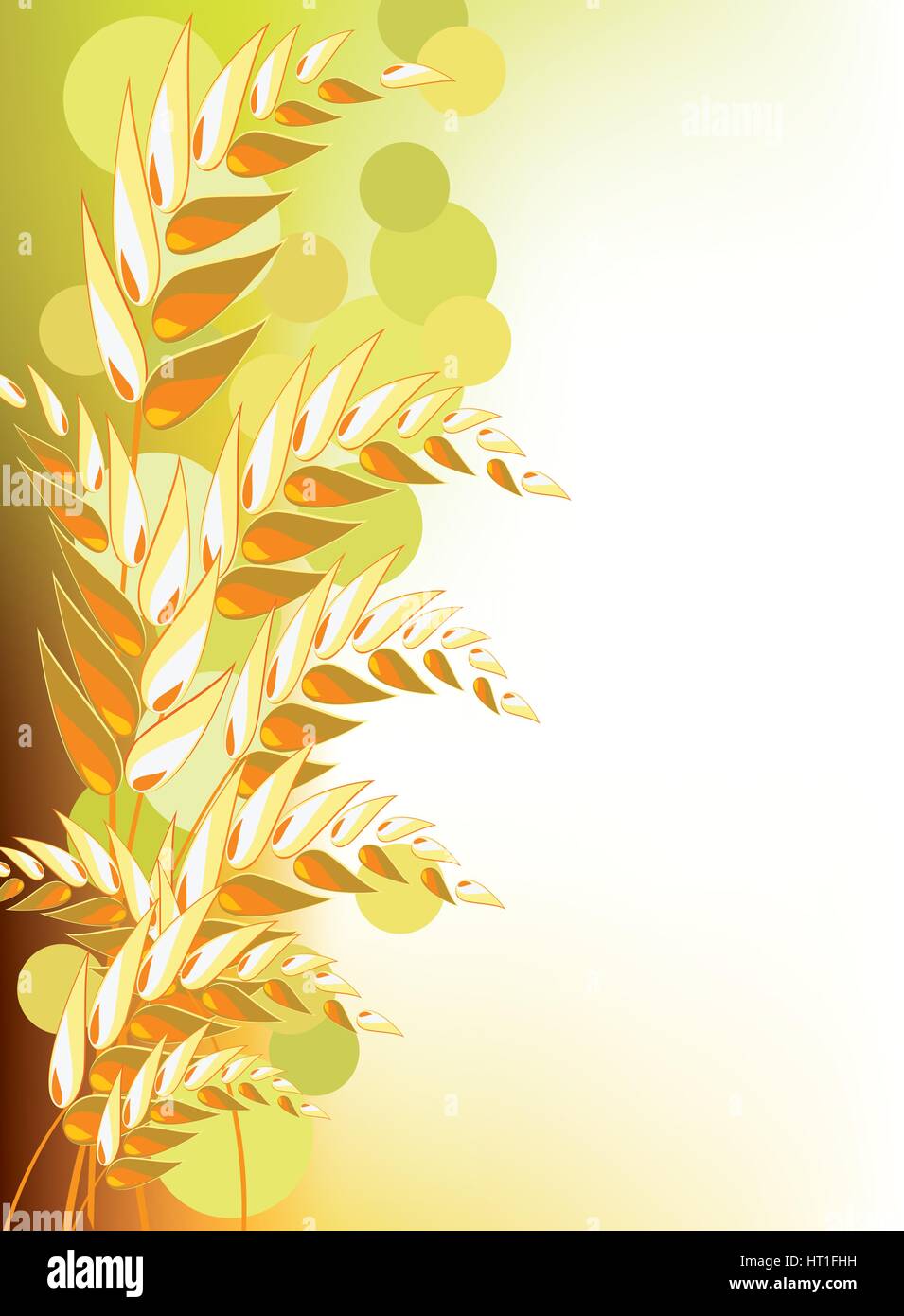 Mature growth wheat grain Stock Vector Images - Alamy