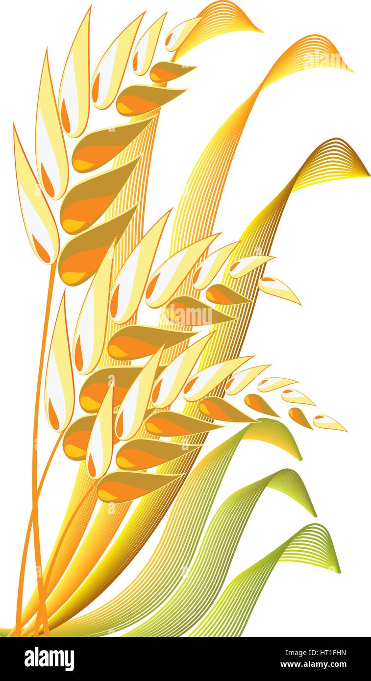 Golden wheat abstract Stock Vector Image & Art - Alamy
