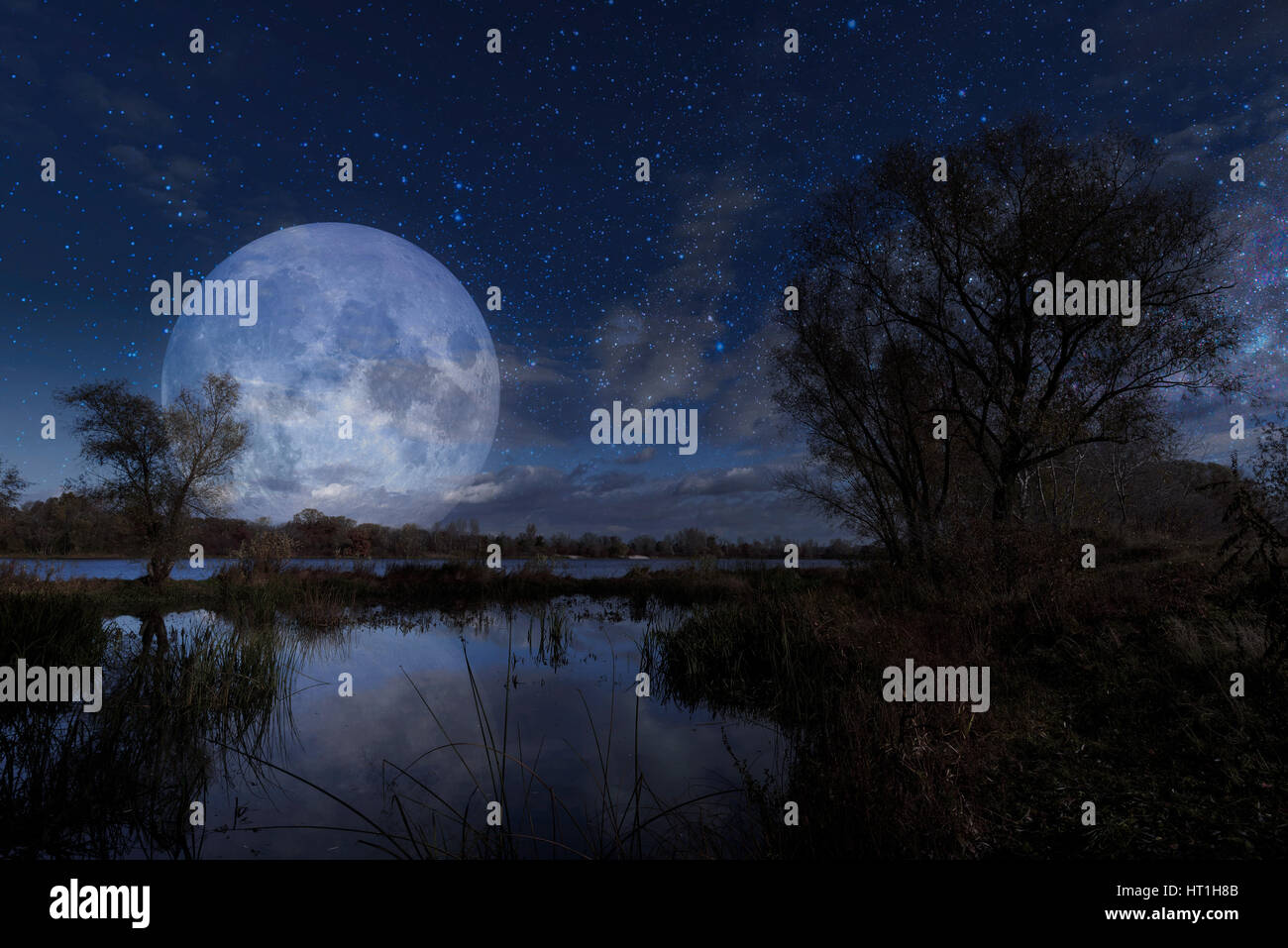Night landscape with the Moon over the Dnieper river in Kiev, Ukraine ...