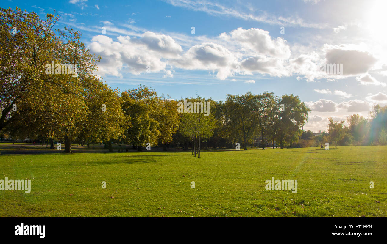 Wide view at the park in London Stock Photo - Alamy