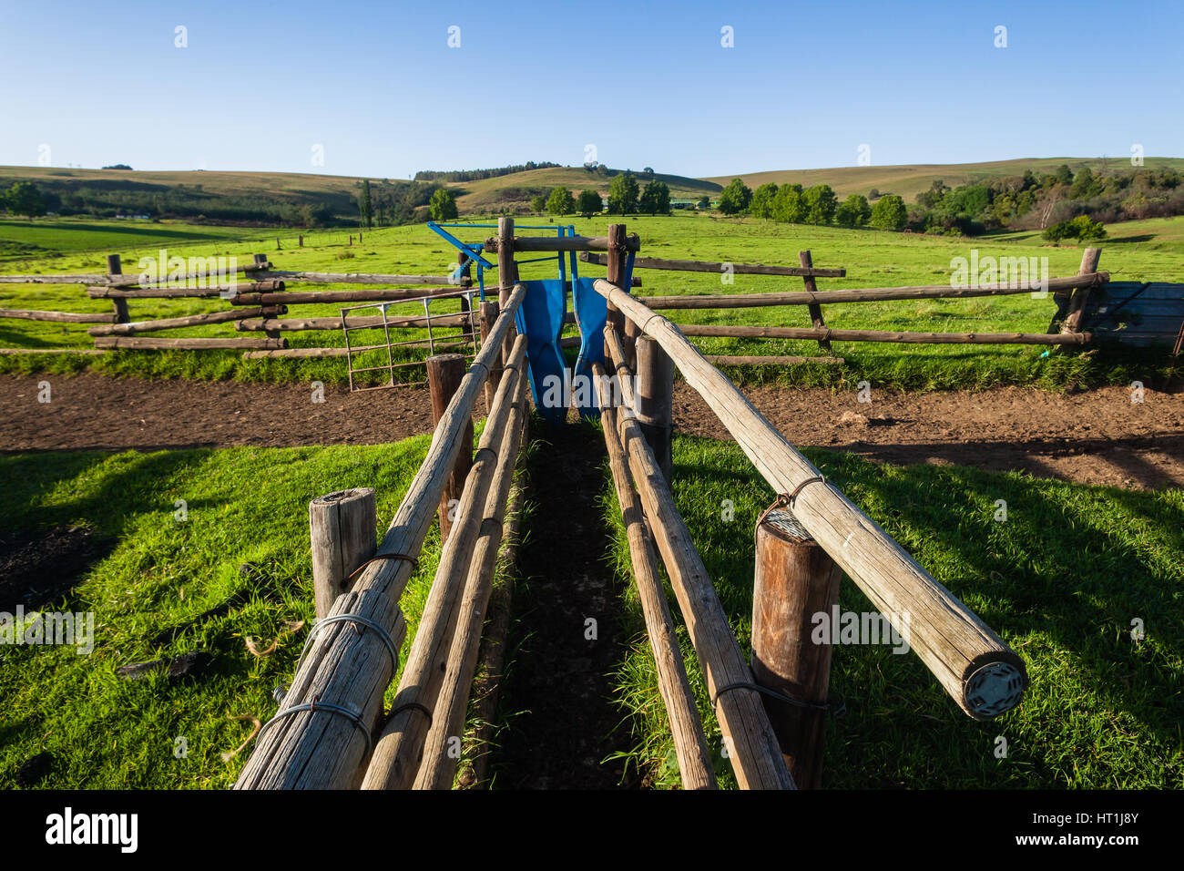 Farm animals pens hi-res stock photography and images - Alamy