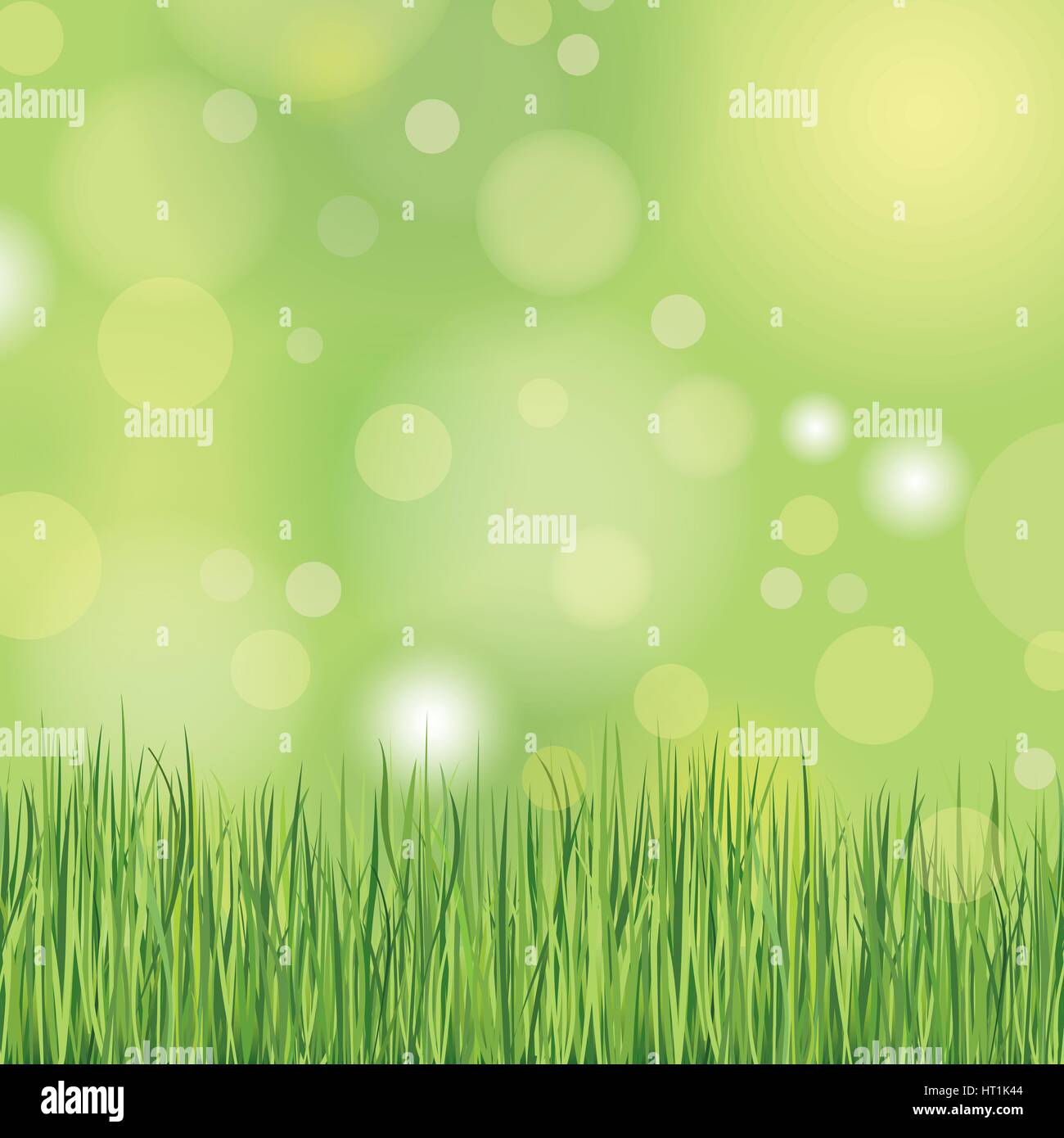 Floral background. Summer outdoor wallpaper. Nature spring grass Stock ...