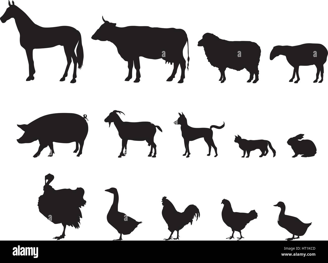 Farm animals vector set. Livestock Stock Vector Image & Art - Alamy