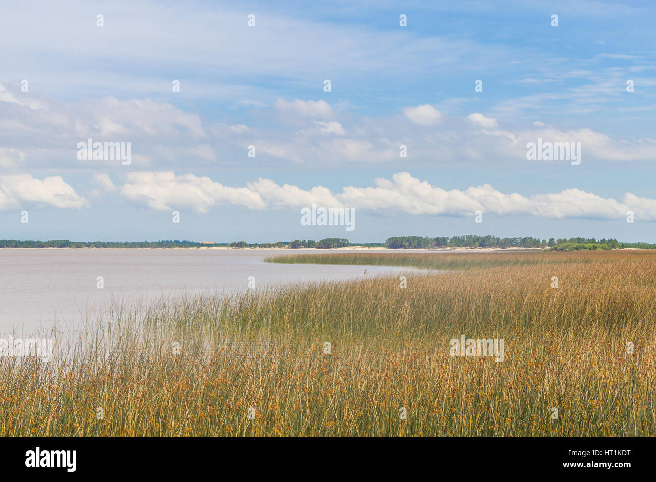 Lagoa dos Patos lake with vegetation, clouds and blue sky Stock Photo ...
