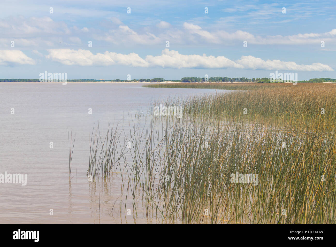 Lagoa dos Patos lake with vegetation, clouds and blue sky Stock Photo - Alamy