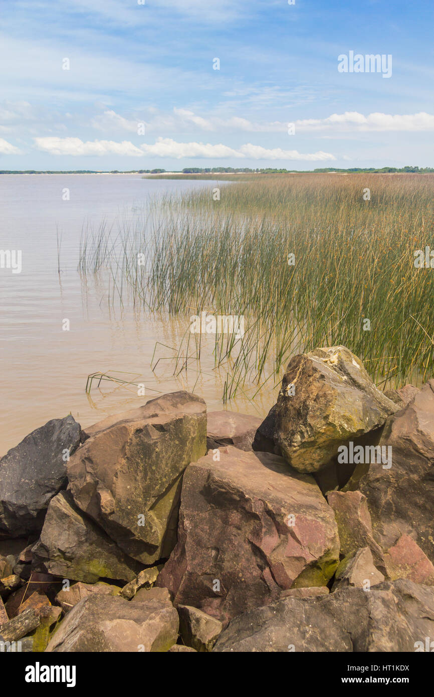 Lagoa dos Patos lake with vegetation, clouds and blue sky Stock Photo ...
