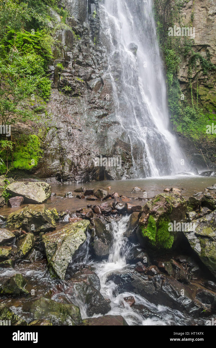 Garden waterfall in rio de hi-res stock photography and images - Alamy