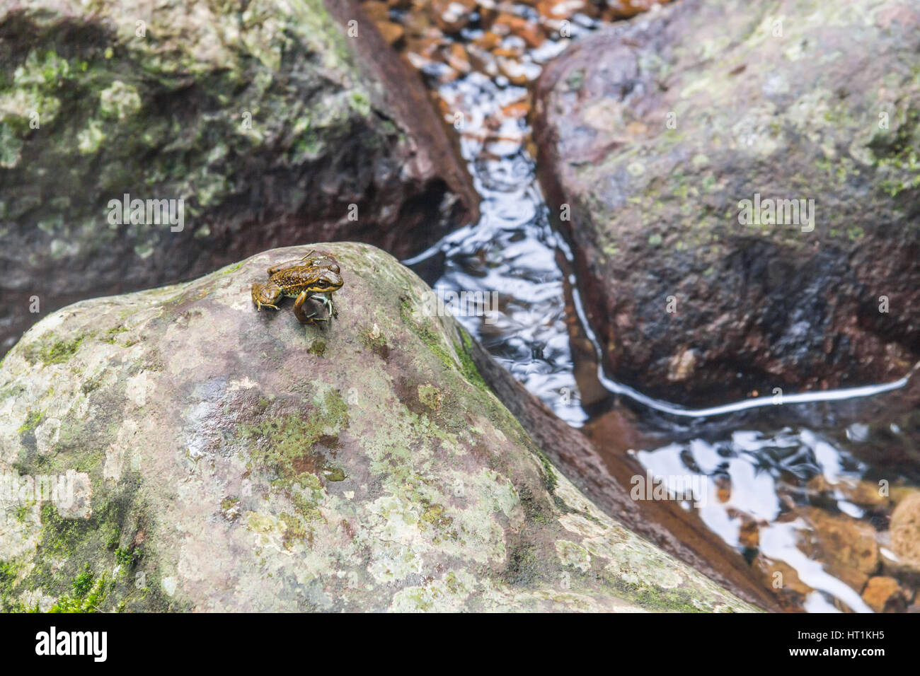Permeable rock hi-res stock photography and images - Alamy