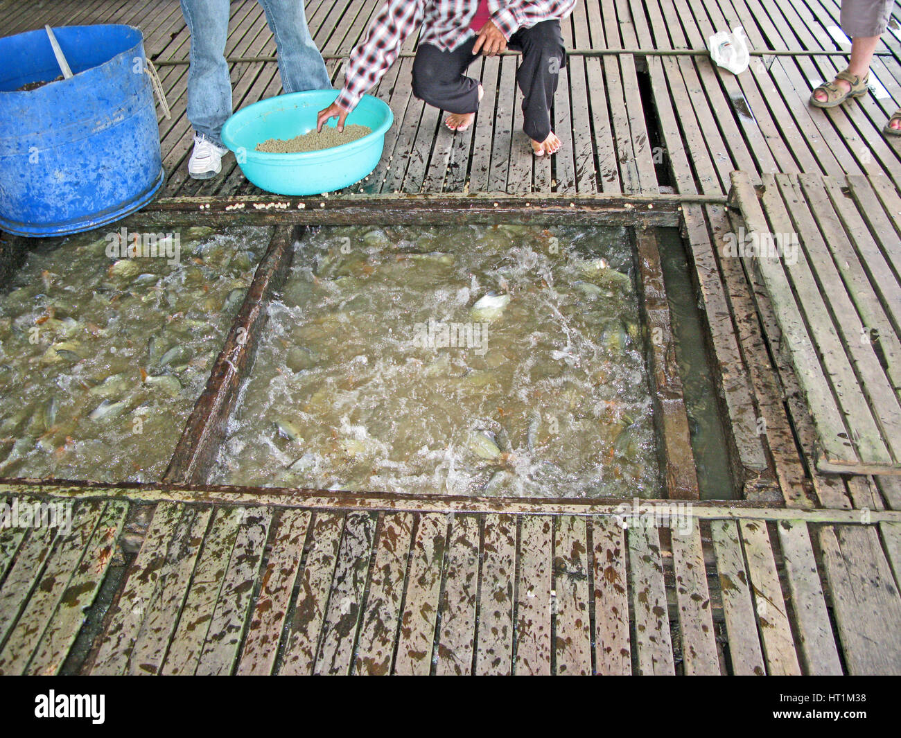Chao Doc, Floating House with Fish Cage under Walter for Breeding Fish ...