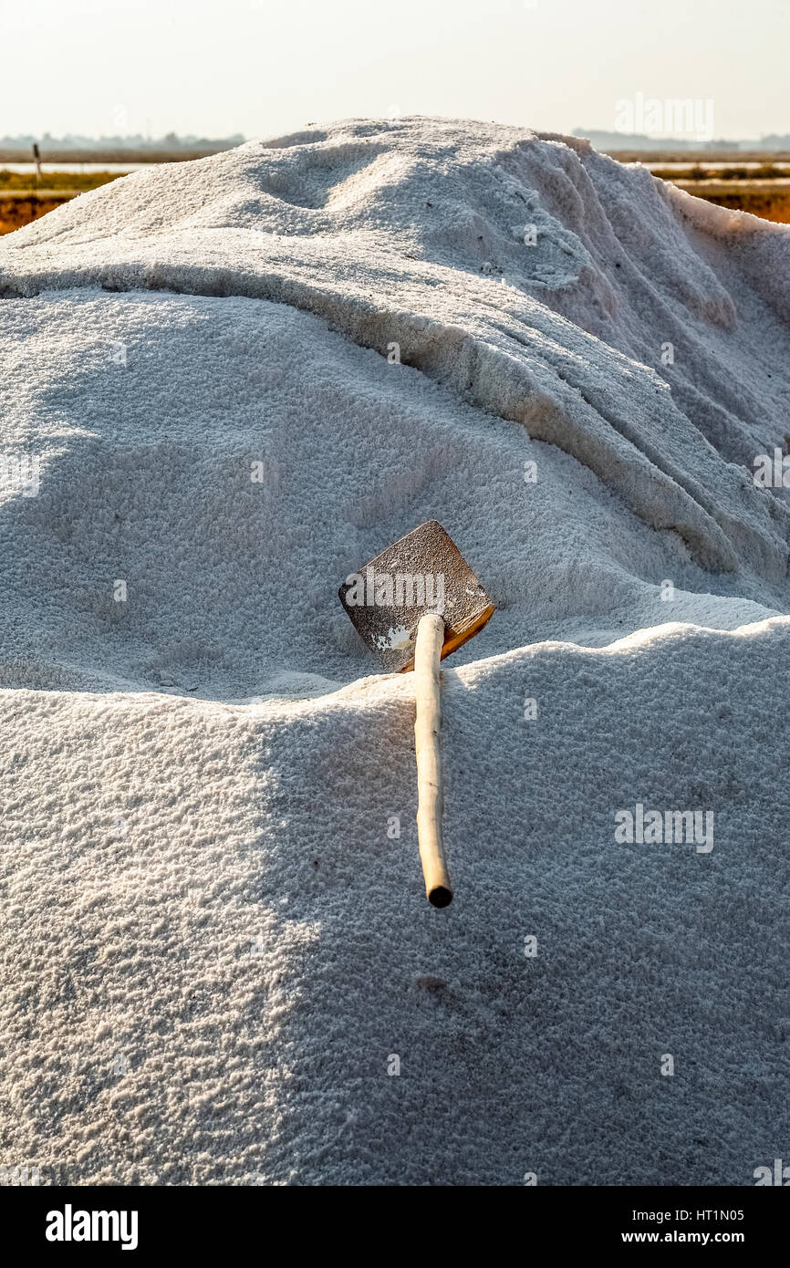 Italy Emilia Romagna Cervia salt flats - shovel Stock Photo - Alamy