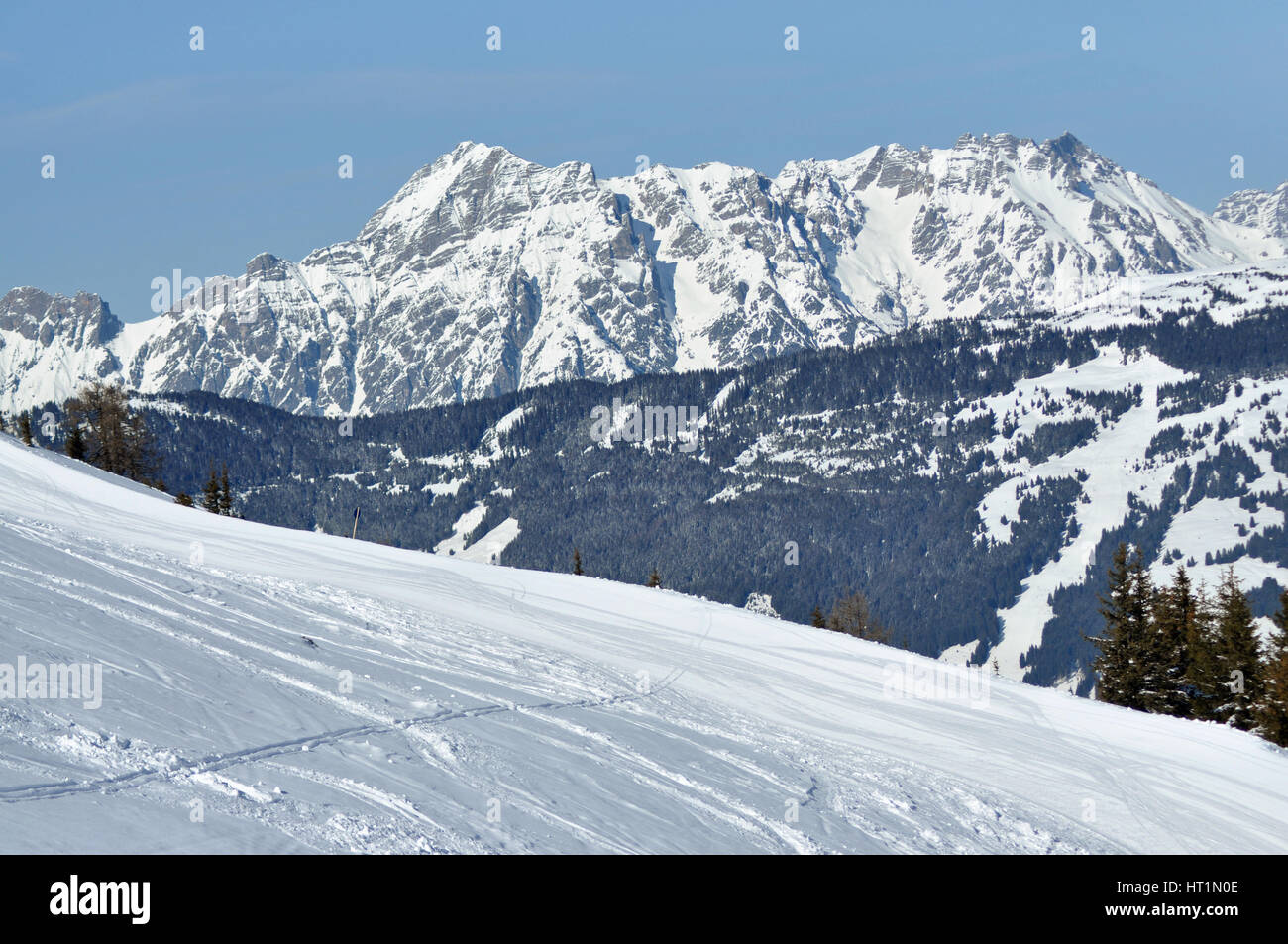 Snowy off-piste slope in the Alps Stock Photo - Alamy