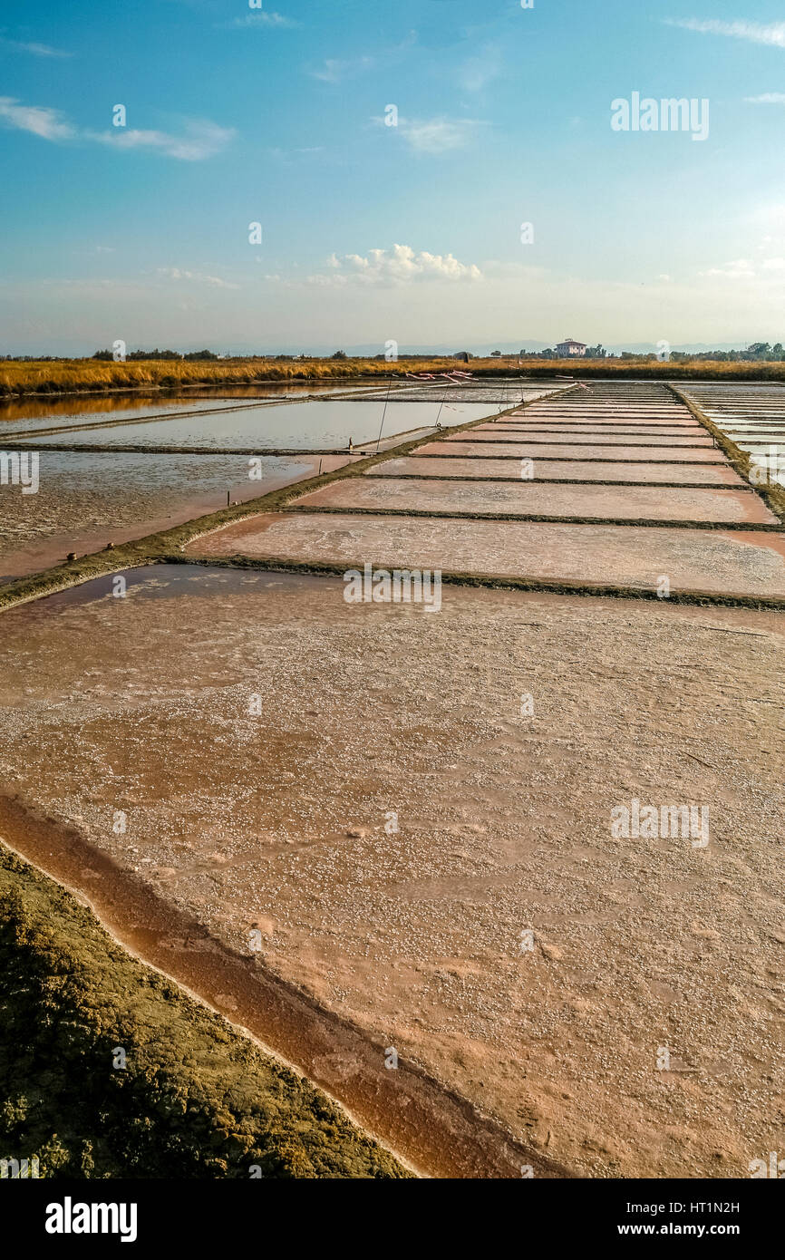 Italy Emilia Romagna Cervia salt flats Stock Photo - Alamy
